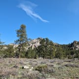 Disappointment Falls via Lady Moon Trail, Colorado - 797 Reviews, Map ...
