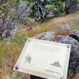 Way of the Mono Trail, California - 483 Reviews, Map | AllTrails