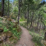 Way of the Mono Trail, California - 483 Reviews, Map | AllTrails