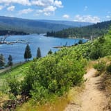 Way of the Mono Trail, California - 483 Reviews, Map | AllTrails
