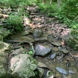 Rose River Trail, Virginia - 4,796 Reviews, Map | AllTrails