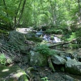 Rose River Trail, Virginia - 4,775 Reviews, Map | AllTrails