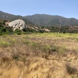 Mormon Rocks Interpretive Trail, California - 249 Reviews, Map | AllTrails