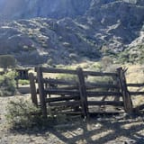Dripping Springs Trail, New Mexico - 2,146 Reviews, Map | AllTrails