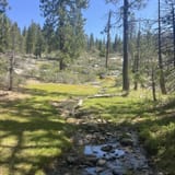 Bassi Falls, California - 3,066 Reviews, Map | AllTrails