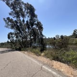 Lake Miramar Trail, California - 4,156 Reviews, Map | AllTrails