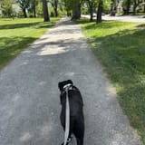 Washington Park Loop, Colorado - 3,314 Reviews, Map | AllTrails