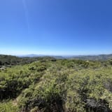 Sweetwater River Loop Trail, California - 439 Reviews, Map | AllTrails