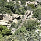 Sweetwater River Loop Trail, California - 439 Reviews, Map | AllTrails