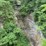 Limestone Gorge Loop, Kentucky - 631 Reviews, Map | AllTrails