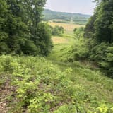 Limestone Gorge Loop, Kentucky - 631 Reviews, Map | AllTrails