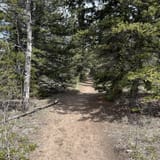 Interlaken Trail, Colorado - 1,883 Reviews, Map | AllTrails