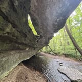Tanyard Perimeter Loop, Arkansas - 2,781 Reviews, Map | AllTrails