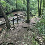 Tanyard Perimeter Loop, Arkansas - 2,700 Reviews, Map | AllTrails