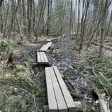 Bauneg Beg Middle Mountain Trail, Maine - 1,100 Reviews, Map | AllTrails