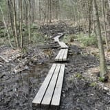 Bauneg Beg Middle Mountain Trail, Maine - 1,100 Reviews, Map | AllTrails