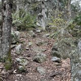 Bauneg Beg Middle Mountain Trail, Maine - 1,100 Reviews, Map | AllTrails