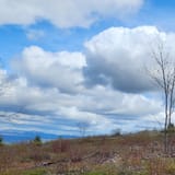 Blue Job Mountain Loop, New Hampshire - 2,007 Reviews, Map | AllTrails