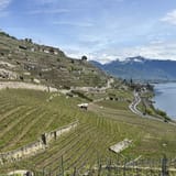 Les Terrasses de Lavaux: St-Saphorin - Lutry : 1 117 Photos - Vaud ...