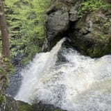 Bushkill Falls Red Trail, Pennsylvania - 615 Reviews, Map | AllTrails