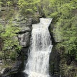 Bushkill Falls Red Trail, Pennsylvania - 615 Reviews, Map | AllTrails