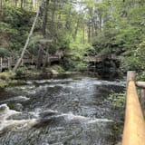 Bushkill Falls Red Trail, Pennsylvania - 615 Reviews, Map | AllTrails