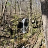 Walden Creek Waterfall Trail, Georgia - 193 Reviews, Map | AllTrails