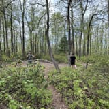 Appalachian Trail, Hosack Run, and Locust Gap Loop, Pennsylvania - 452 ...