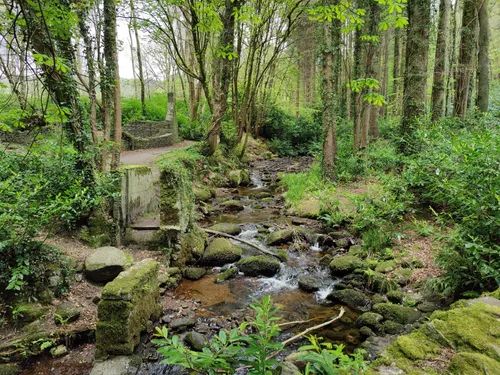 Best Historic Site Trails in Cruagh, Tibradden & Pine Forest | AllTrails