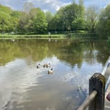 Yarrow Valley Country Park Circular, Lancashire, England - 327 Reviews ...