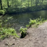 Yarrow Valley Country Park Circular, Lancashire, England - 327 Reviews ...