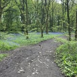 Yarrow Valley Country Park Circular, Lancashire, England - 327 Reviews ...