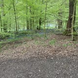 Yarrow Valley Country Park Circular, Lancashire, England - 327 Reviews ...