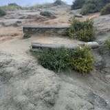 Runyon Canyon Trail, California - 8,175 Reviews, Map | AllTrails