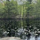 Ramapo Reservation Loop Trail, New Jersey - 1,736 Reviews, Map | AllTrails
