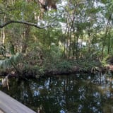 Al Lopez Park Trail, Florida - 290 Reviews, Map | AllTrails