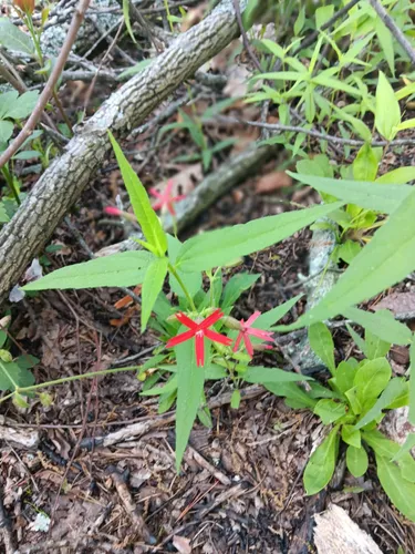 Best Camping Trails in Roby | AllTrails