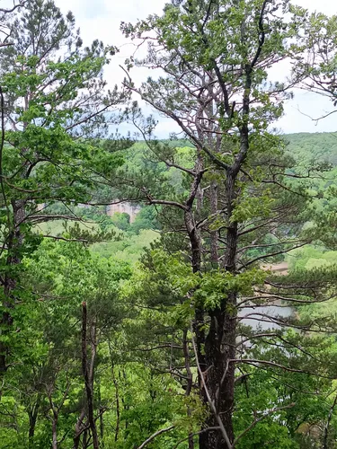 Best Camping Trails in Roby | AllTrails