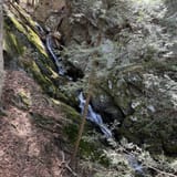 Stevens Glen Trail, Massachusetts - 402 Reviews, Map | AllTrails