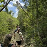 Lind Point Trail to Honeymoon Beach, Saint John, US Virgin Islands ...