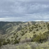 Mount Morrison Trail, Colorado - 5,732 Reviews, Map | AllTrails
