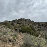 Mount Morrison Trail, Colorado - 5,732 Reviews, Map | AllTrails