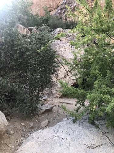 Best Waterfall Trails in Waddell | AllTrails