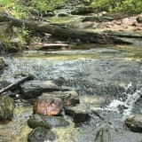 Long Branch Loop Trail, Georgia - 2,293 Reviews, Map | AllTrails