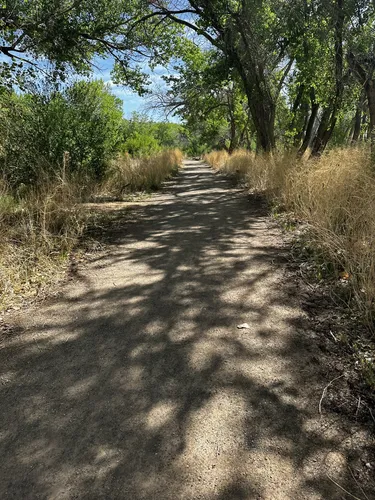 Best River Trails in Rio Rancho | AllTrails