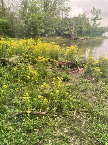 Best Hikes and Trails in Mount Summit | AllTrails