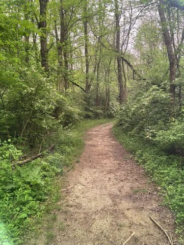 Best Hikes and Trails in Mount Summit | AllTrails