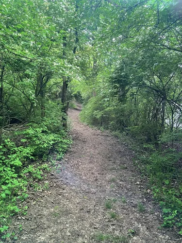 Best Hikes and Trails in Mount Summit | AllTrails