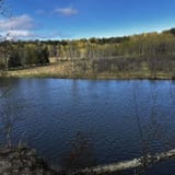 The Manistee River Loop Trail, Michigan - 2,045 Reviews, Map | AllTrails