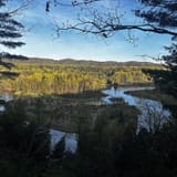 The Manistee River Loop Trail, Michigan - 2,062 Reviews, Map | AllTrails